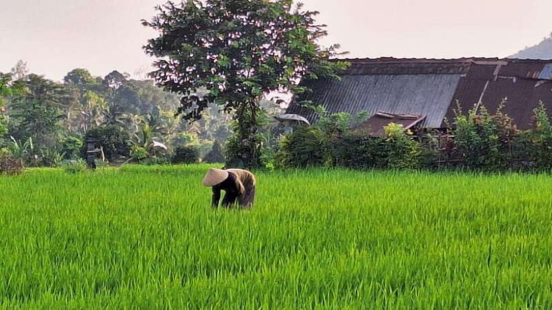 Sidemen Trekking: A Walk from Different Perspective - FAQ