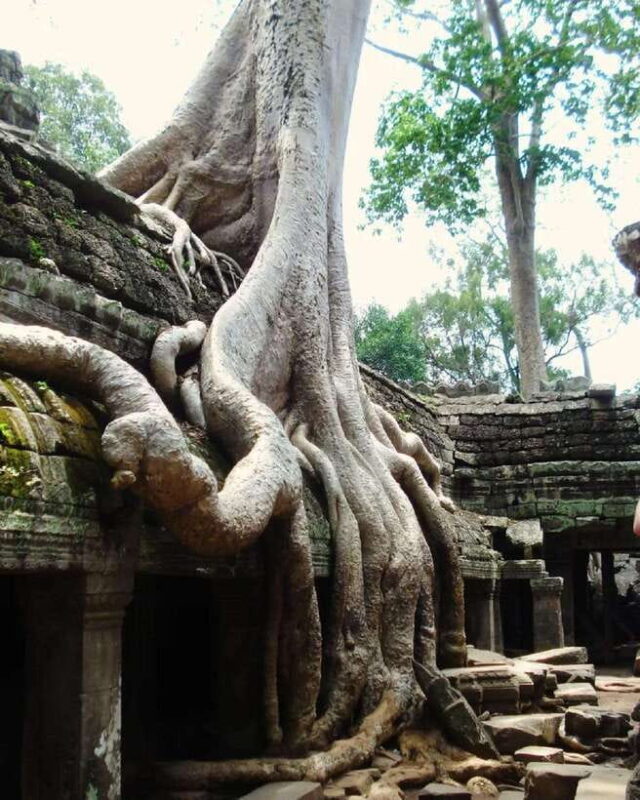 Siem Reap: Angkor Wat 1-Day Private Tour with Sunset - Final Thoughts: Is It Worth It?