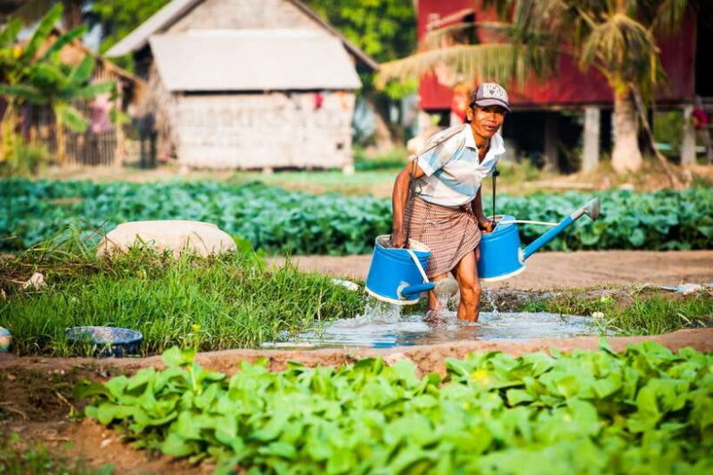 Siem Reap: Countryside Guided Tour by Bike and E-Bike - What’s Included & What to Consider