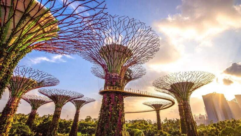 Singapore: City Tour with Cloud Forest and Supertree Tickets - FAQ