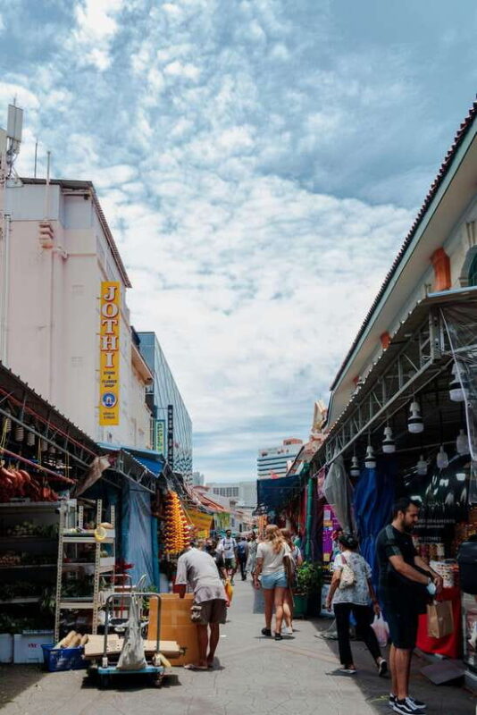 Singapore Immersive City Tour (With Local Snacks) - Who Should Skip This Tour?