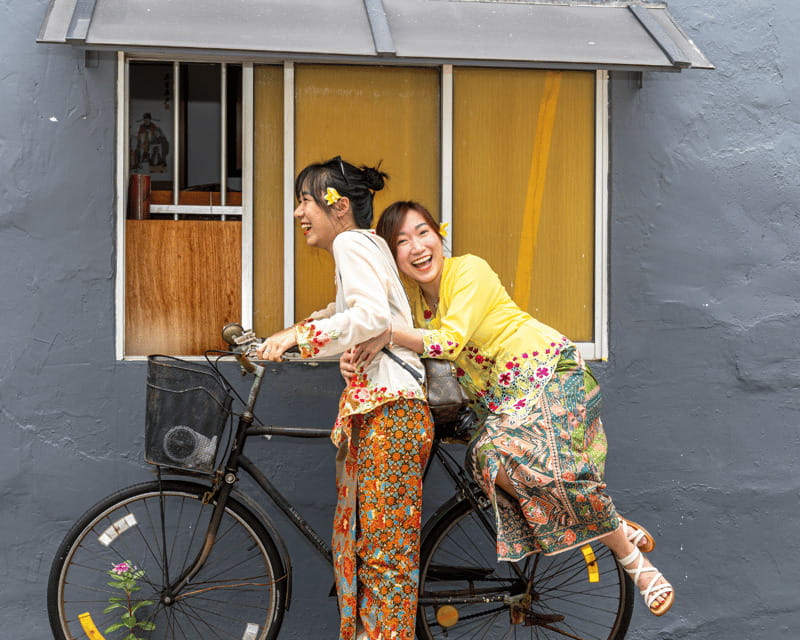 Singapore: Peranakan Culture and City Highlights Tour - Who Will Love This Tour?