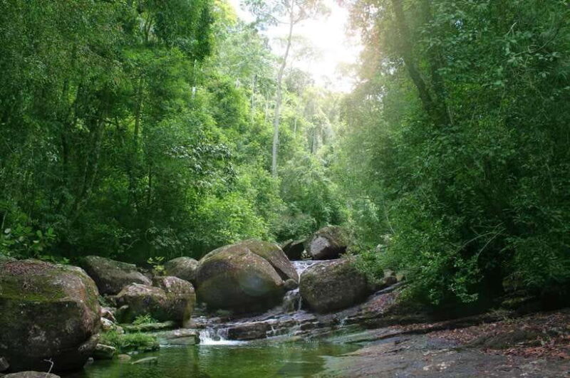 Sinharaja Rainforest: Day Trip From Colombo or Negombo - FAQ