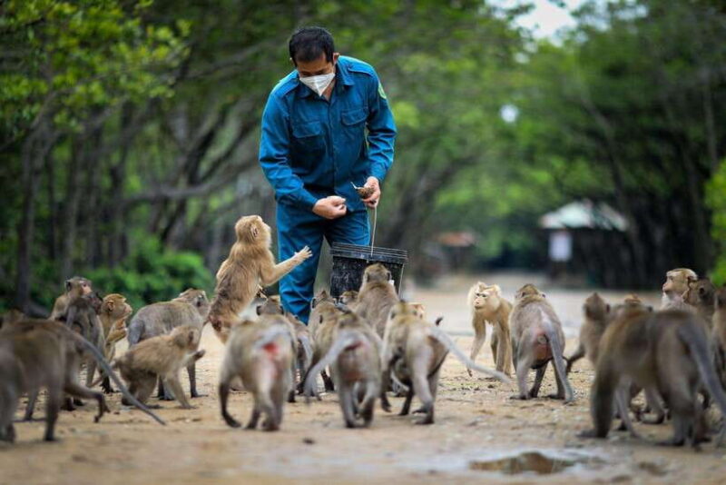 Small Group to the Monkey Island and Can Gio Mangrove Forest - Final Thoughts