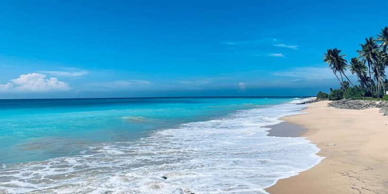Snorkeling in Negombo - What’s Included and What’s Not?