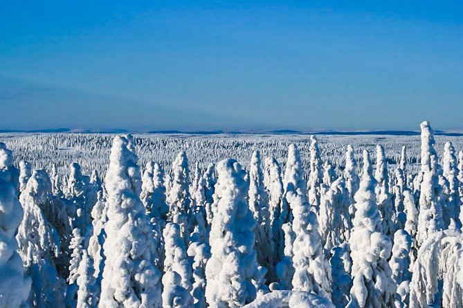 Snowmobile Safari in the Nature - FAQ
