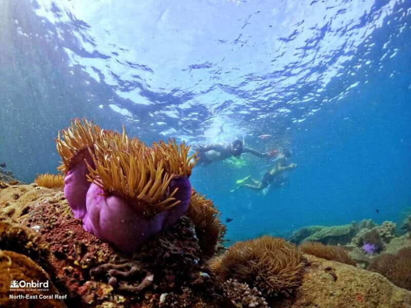 South Phu Quoc: Pro Snorkeling Tour by Speedboat - FAQ