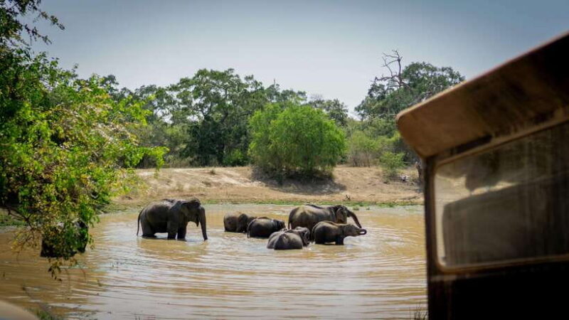 Sri Lanka cultural triangle full circle 3-day tour - FAQs