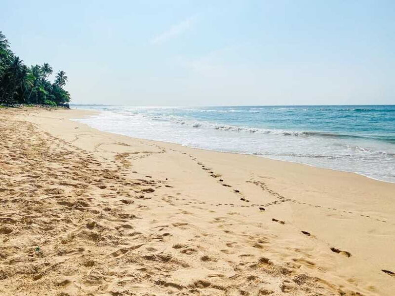 Sri Lanka: History ,Wildlife, Beaches, 7 Days Private Tour - FAQs