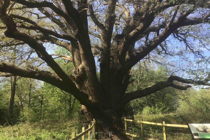 Stanmore Circular Private Walking Tour - What’s Included and What’s Not