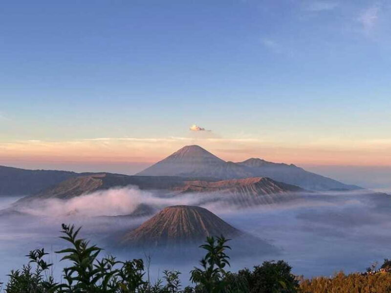 Surabaya: Mount Bromo Sunrise & Crater Climb Tour - Authenticity & Traveler Feedback