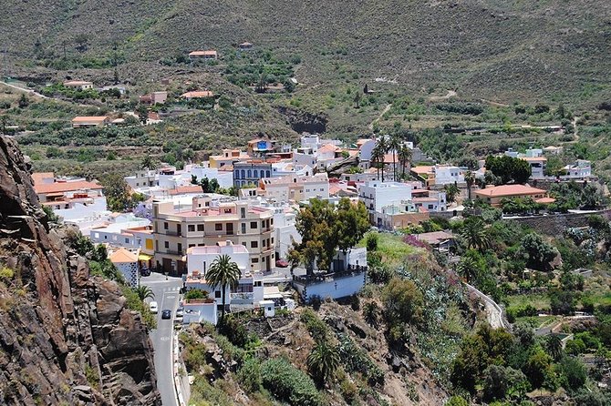 Tastes of Fuerteventura Minivan VIP Tour - Exploring the Tastes of Fuerteventura Minivan VIP Tour: A Genuine Look