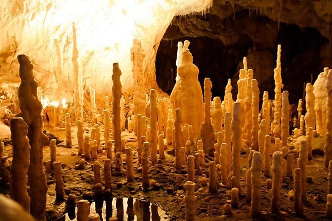 The Bear's Cave - One-Day Air conditioned car Tour from Oradea - FAQ