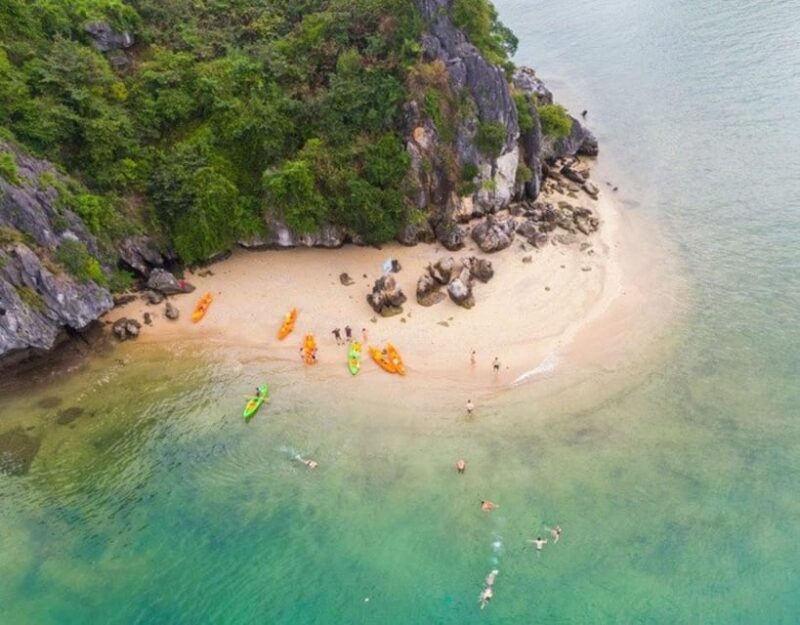The most Luxury Day Cruise Explore the beauty of Lan Ha Bay - Authentic Reviews and Feedback
