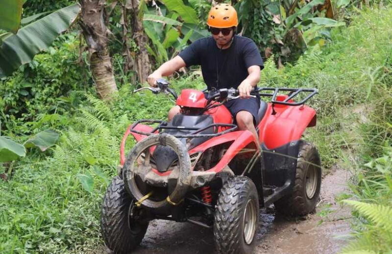 Thrill Seeker's Escape: Bali Jungle & Waterfalls ATV Tour - Who Is This Tour Best For?