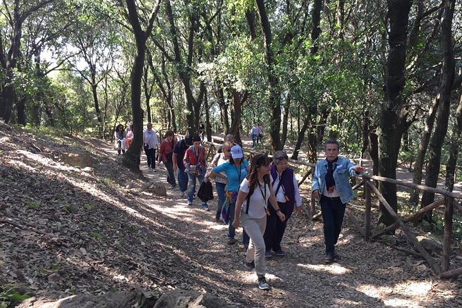 Tour in the ruins of Cuma with an archaeologist. - Who Should Book This Tour?