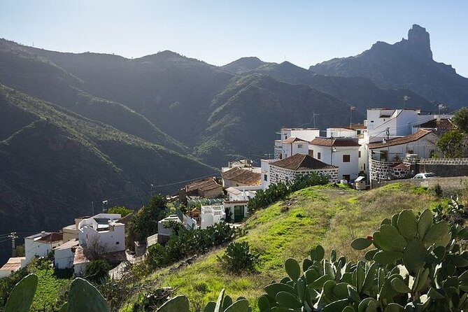 Tour to Guayadeque, Firgas, Fataga - VIP - Final Thoughts