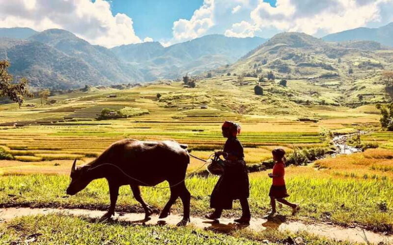 Trekking and Motorbike full day in Mu Cang Chai - Who Would Love This Tour?