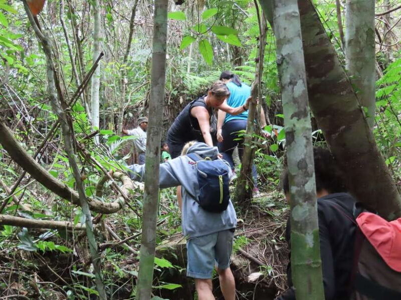 Trekking Tour at Phnom Kulen National Park from Siem Reap - Final Thoughts