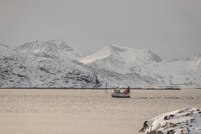 Tromsø: Kvaløya & Sommarøy Guided Tour - Final Summary