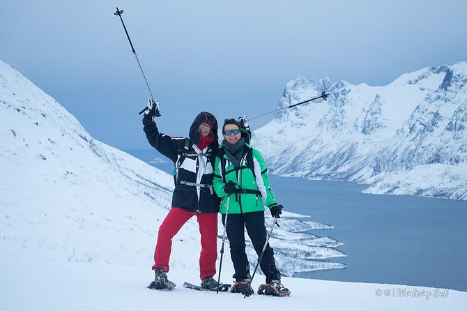 Tromsø: Winter Snowshoeing with Wandering Owl - Final Thoughts