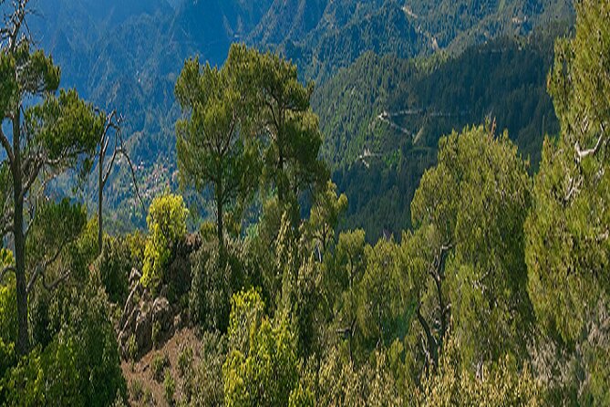 Troodos Peaks & Mountain Flavors Day Tour from Paphos - FAQ