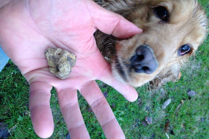 Truffle Hunting and Handmade Pasta in Ascoli Piceno - Final Thoughts
