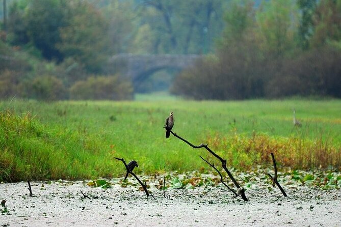 Two Hours Sightseeing Lake Cruise at Montenegro National Park - FAQs