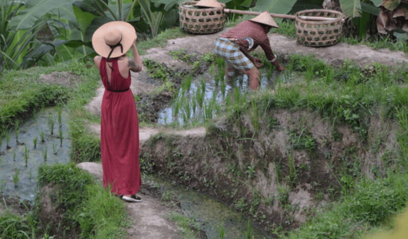 Ubud Full Day Private Tour with All Inclusive - FAQ