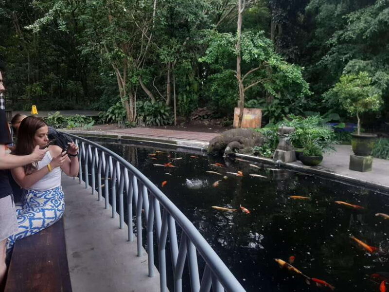 Ubud: Monkey Forest, Rice Terrace, and Waterfall - The Sum Up