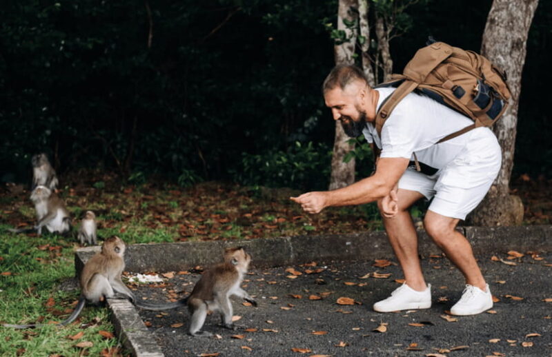 Ubud: Private All-Inclusive Tour with Lunch - The Sum Up