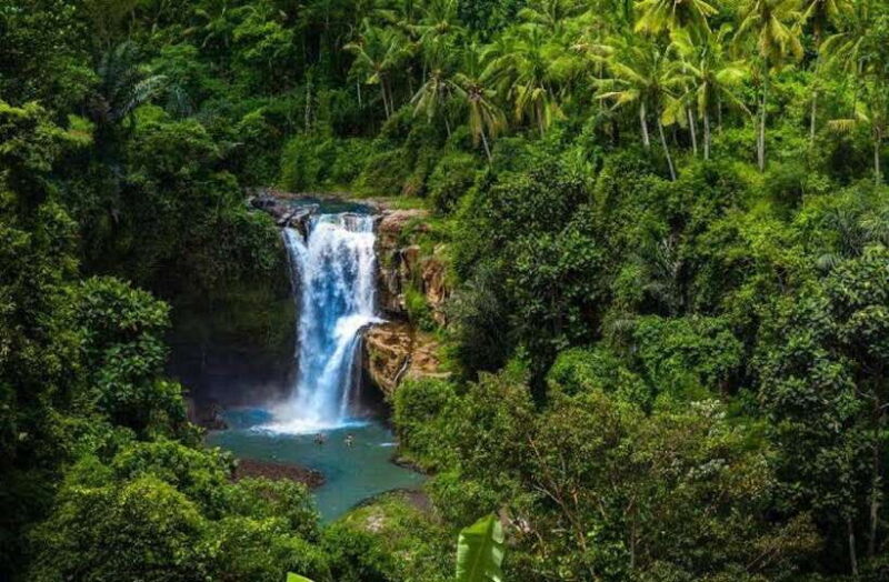 UBUD: Quadbike adventure with waterfalls and photography - What’s the Overall Verdict?