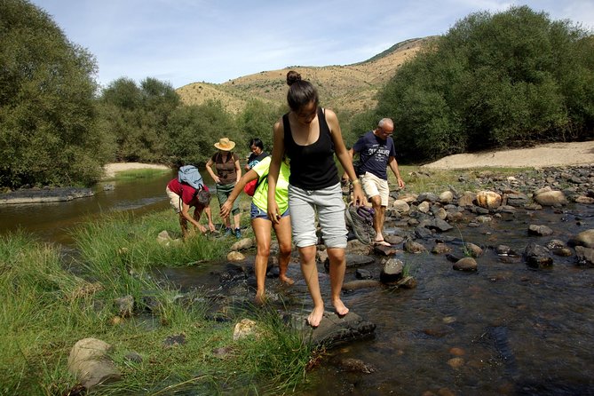 Upper Douro Walk & WineTour - Final Thoughts