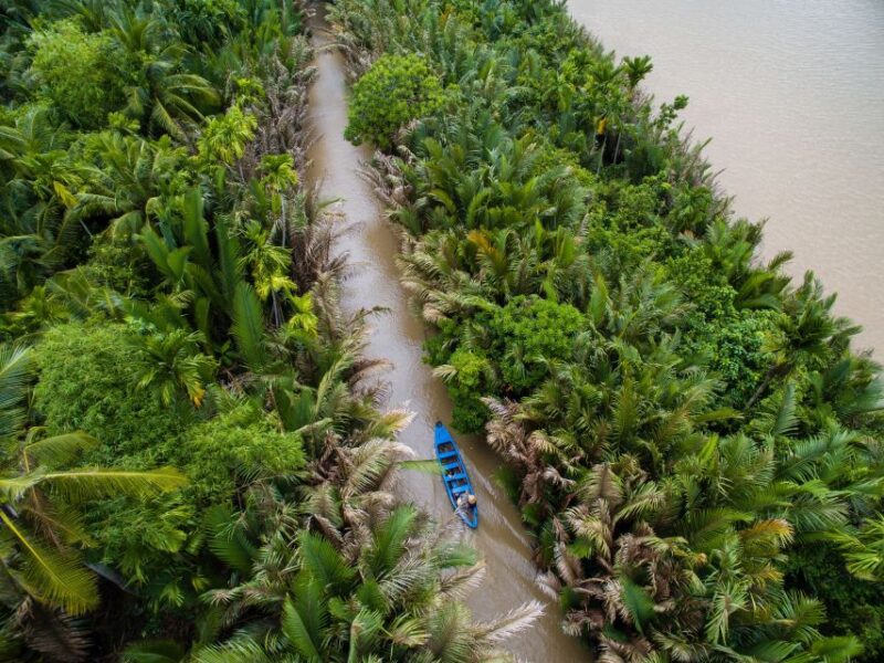 Vam Sat Mangrove Forest Private Tour from Ho Chi Minh City - Final Thoughts: A Rich Nature Adventure