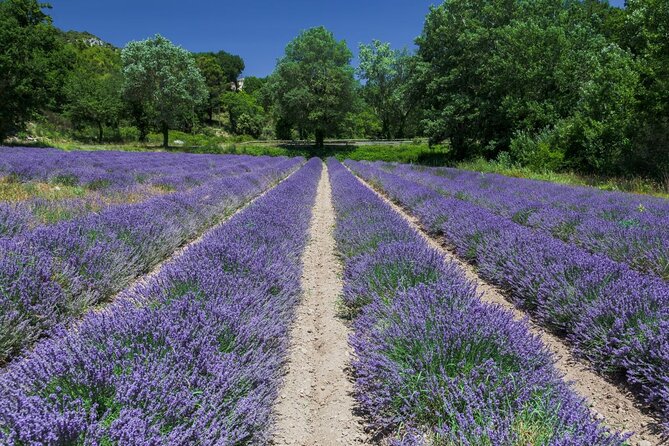 Verdon Canyon and its Lake Full Day Tour - FAQ