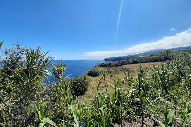 Waterfalls Hike, Moinho do Felix with tea plantation - FAQ