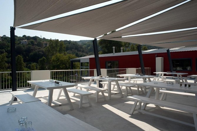 Wine, Beer, Olive Oil Tasting Private Tour (price per group of 6) - Final Thoughts