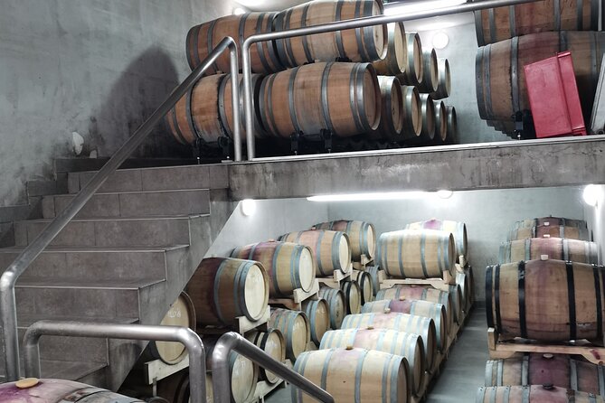 Wine Tasting Experience at the organic winery in ian - Practical Tips for the Tour