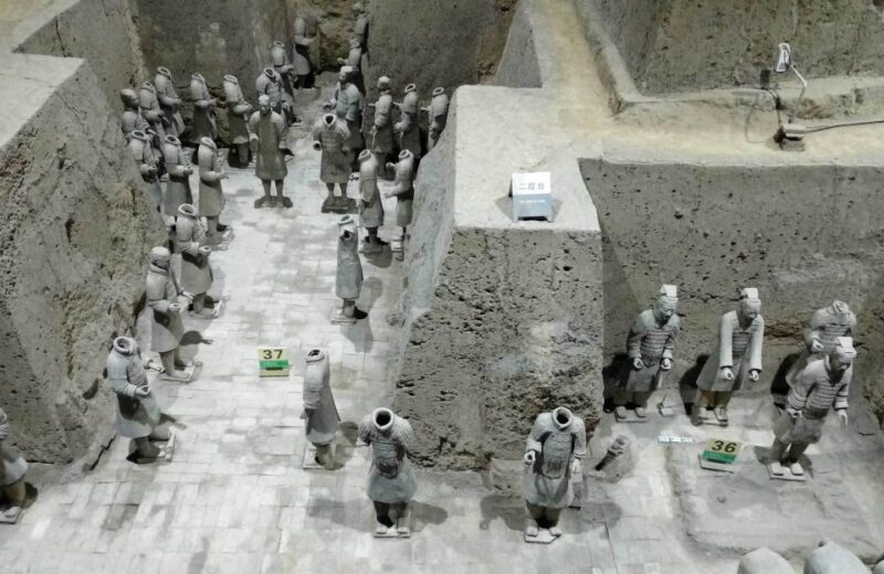 Xi'an: Half-Day Terracotta Warriors & Horses Museum Tour - Who Will Love This Tour?