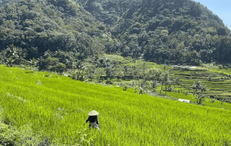 YOGYAKARTA; KEDUNG KAYANG WATERFALL AND SELOGRIYO TEMPLE. - The Sum Up