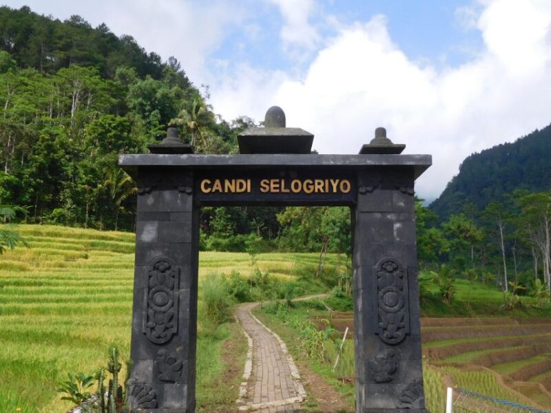 yogyakarta: Selogriyo, Marvel Amidst Java's Lush Terraces - Authentic Experiences and Real Traveler Feedback