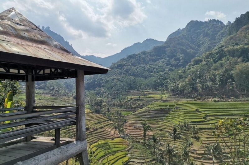 Yogyakarta: Selogriyo Temple, Rice Terraces & Waterfall Tour - Authentic Experiences and Genuine Reviews