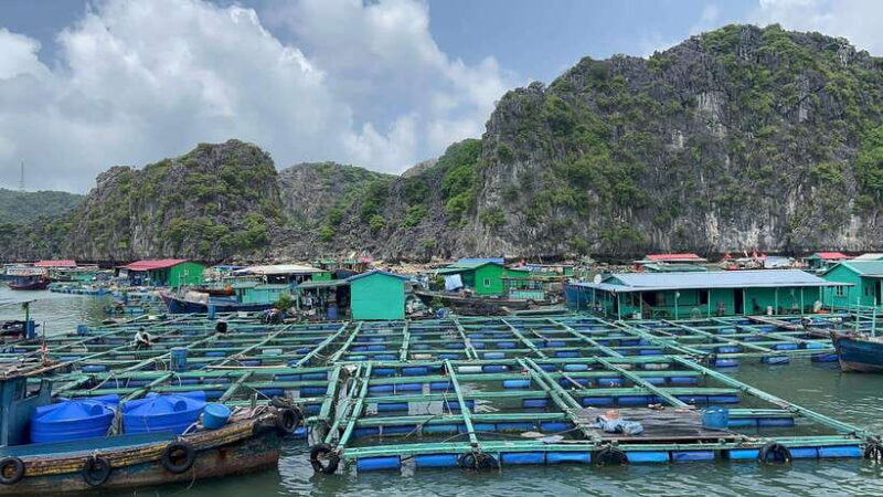2-Day Lan Ha and Cat Ba Bay Cruise Tour By 5 Star Ship - FAQ