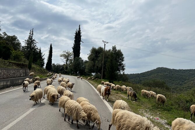 2 Day Tour of the Riviera, Gjirokastra UNESCO city and Blue Eye, - FAQ