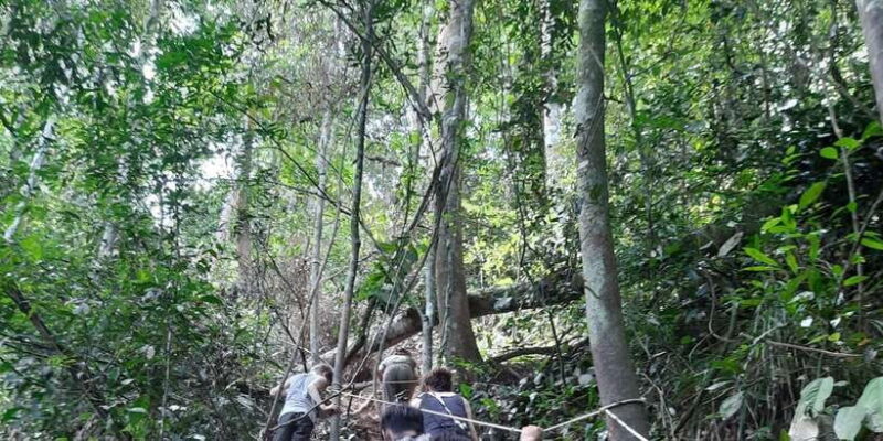2 Days Expedition from Bukit Lawang: Connect with Nature - FAQ