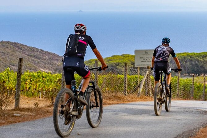 2-Hour e-bike Tour with Wine Tasting in Tenuta delle Ripalte - Authenticity and Experience