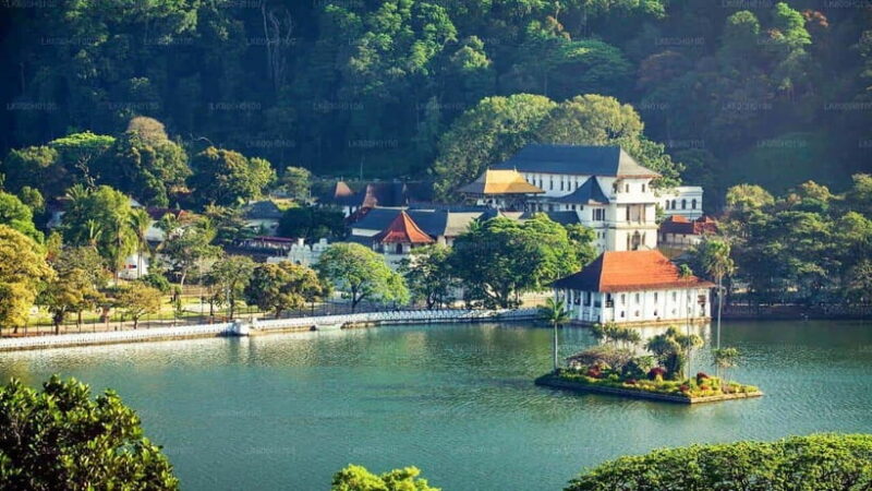 3-Day Tour from Your Hotel: Explore Kandy, Ella, and Yala - Final Thoughts: Who Is This Tour For?