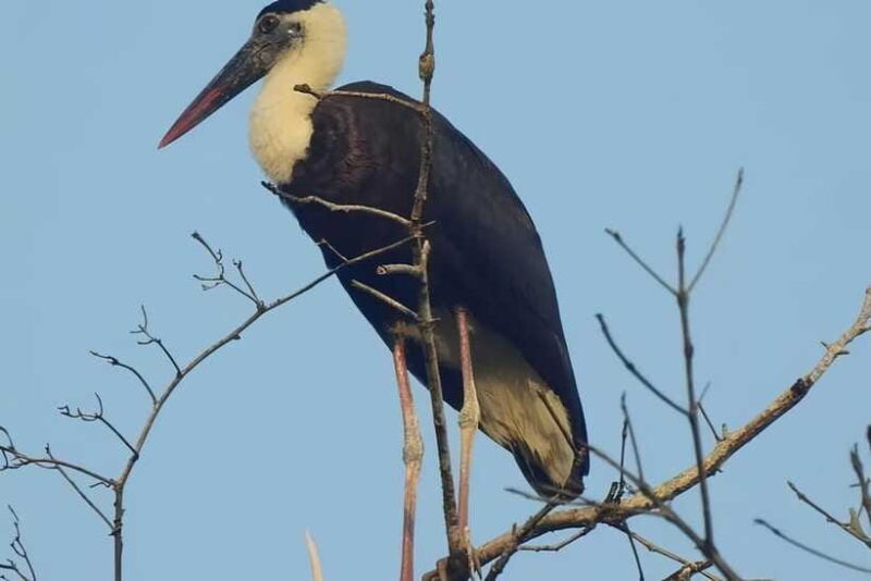3 Days Ujung Kulon National Park Private Guided Tour - FAQ