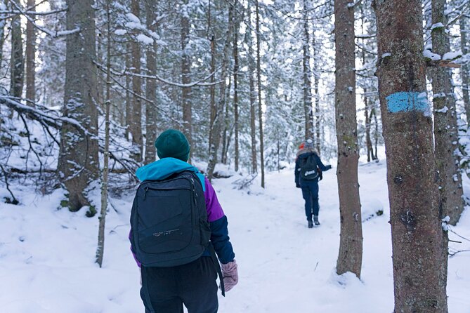 4 hours Best View of the Oslofjord Winter Edition - FAQ