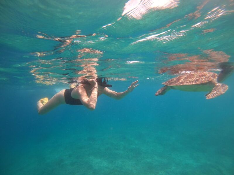 4 Hours Snorkeling 3 Gilis ( Trawangan,Meno, Gili air) - Final Thoughts: Who Will Appreciate This Experience?